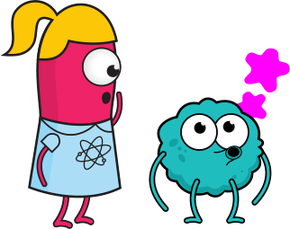 Why Do Beans Make You Fart? - Letterbox Lab